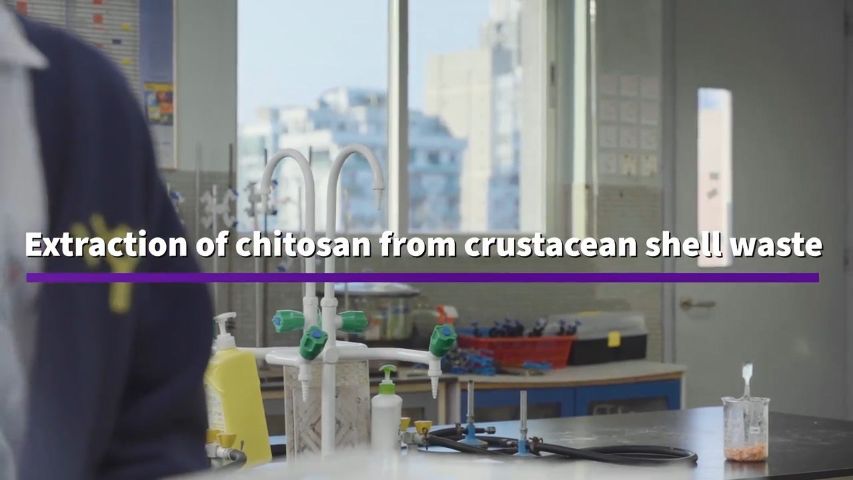 Extraction of chitosan from crustacean shell waste | 教育及青年發展局